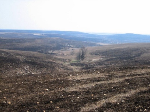 Kansas / Flint Hills / Prairie Fire Ride | Adventure Rider
